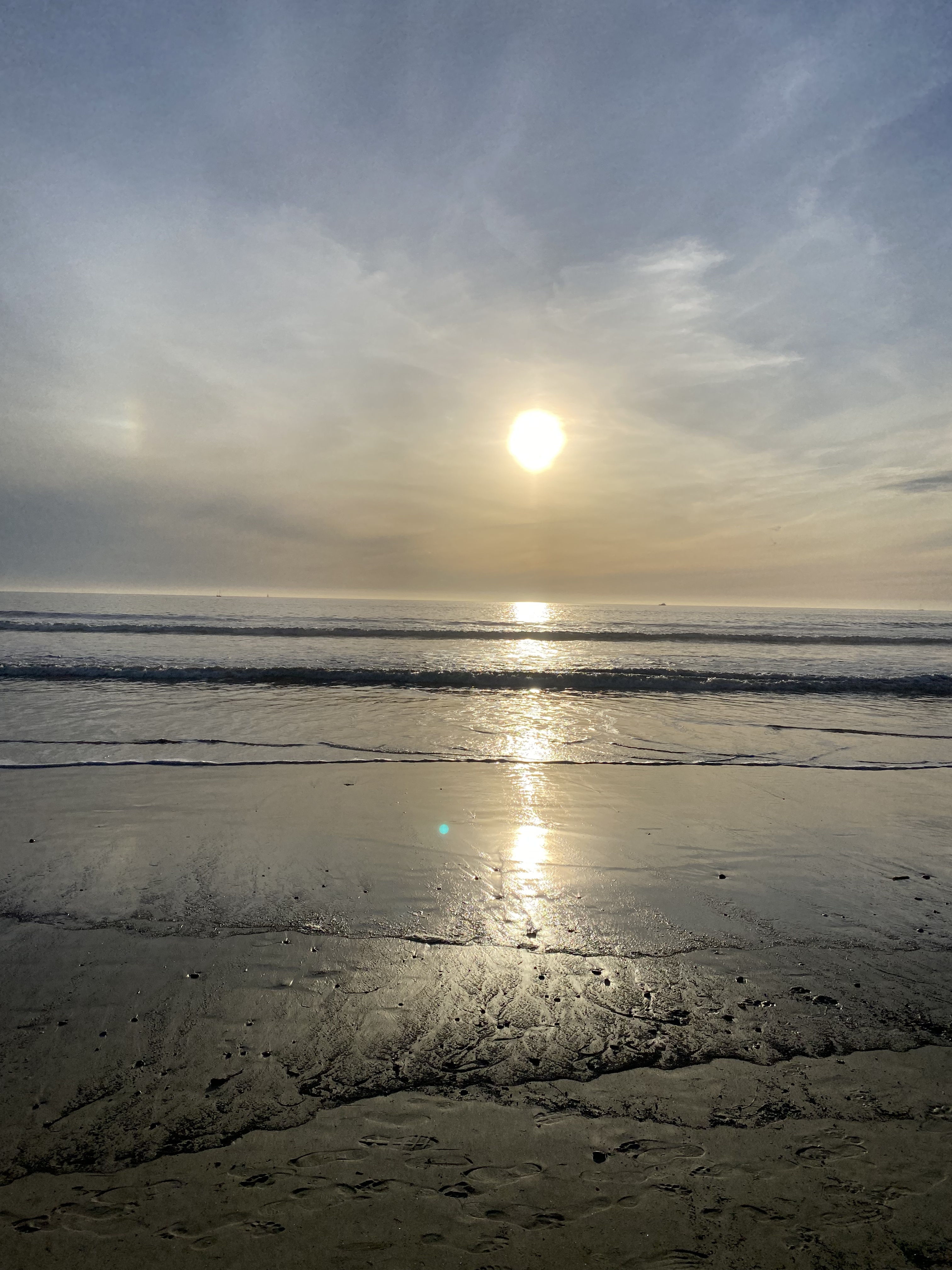 California, Telepathy Tapes, & Mental Immunity | Stuart Vyse